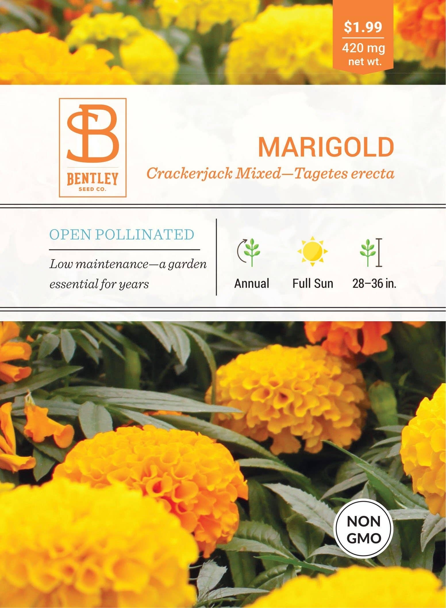 Bentley Seed Co. - Marigold-Crackerjack Seed Packets | Wicklanders Roots