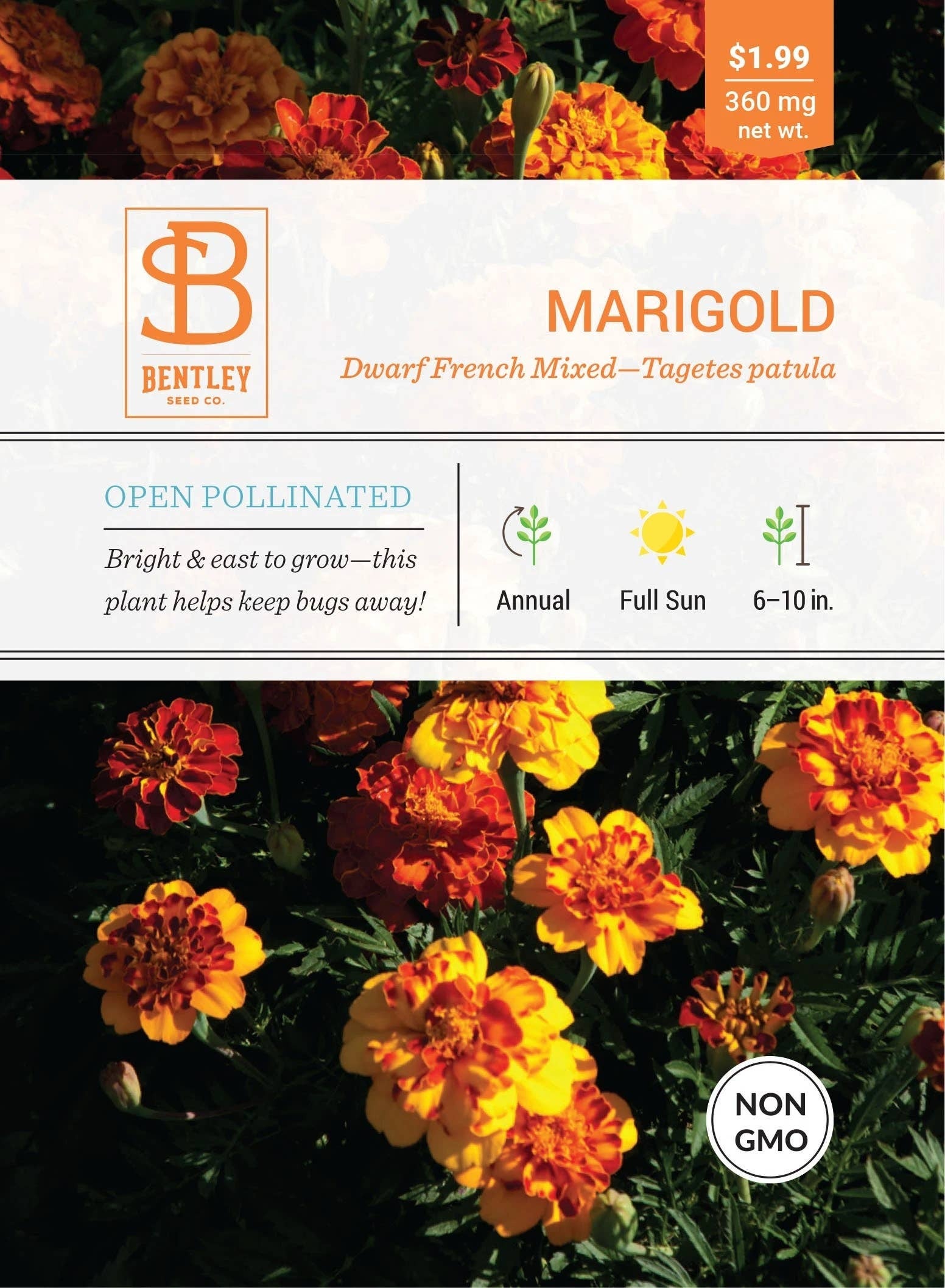 Bentley Seed Co. - Marigold-Dwarf French Seed Packets | Wicklanders Roots