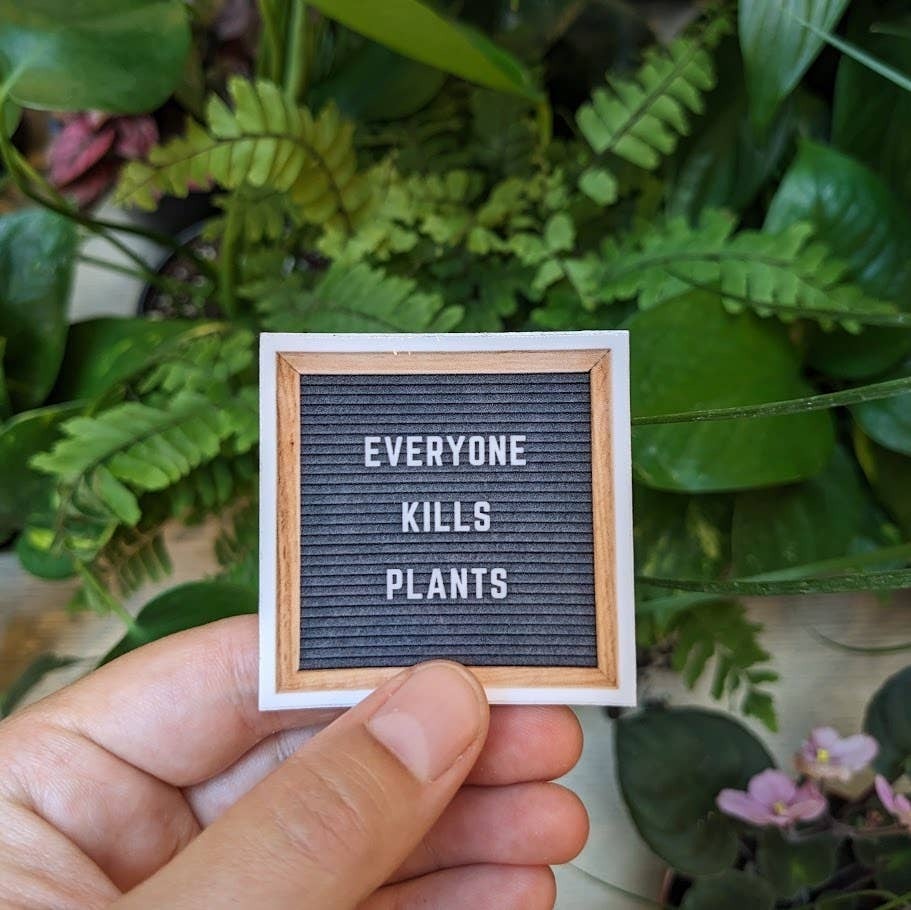 "Everyone Kills Plants" Sticker | Houseplant Sticker | Wicklanders Roots